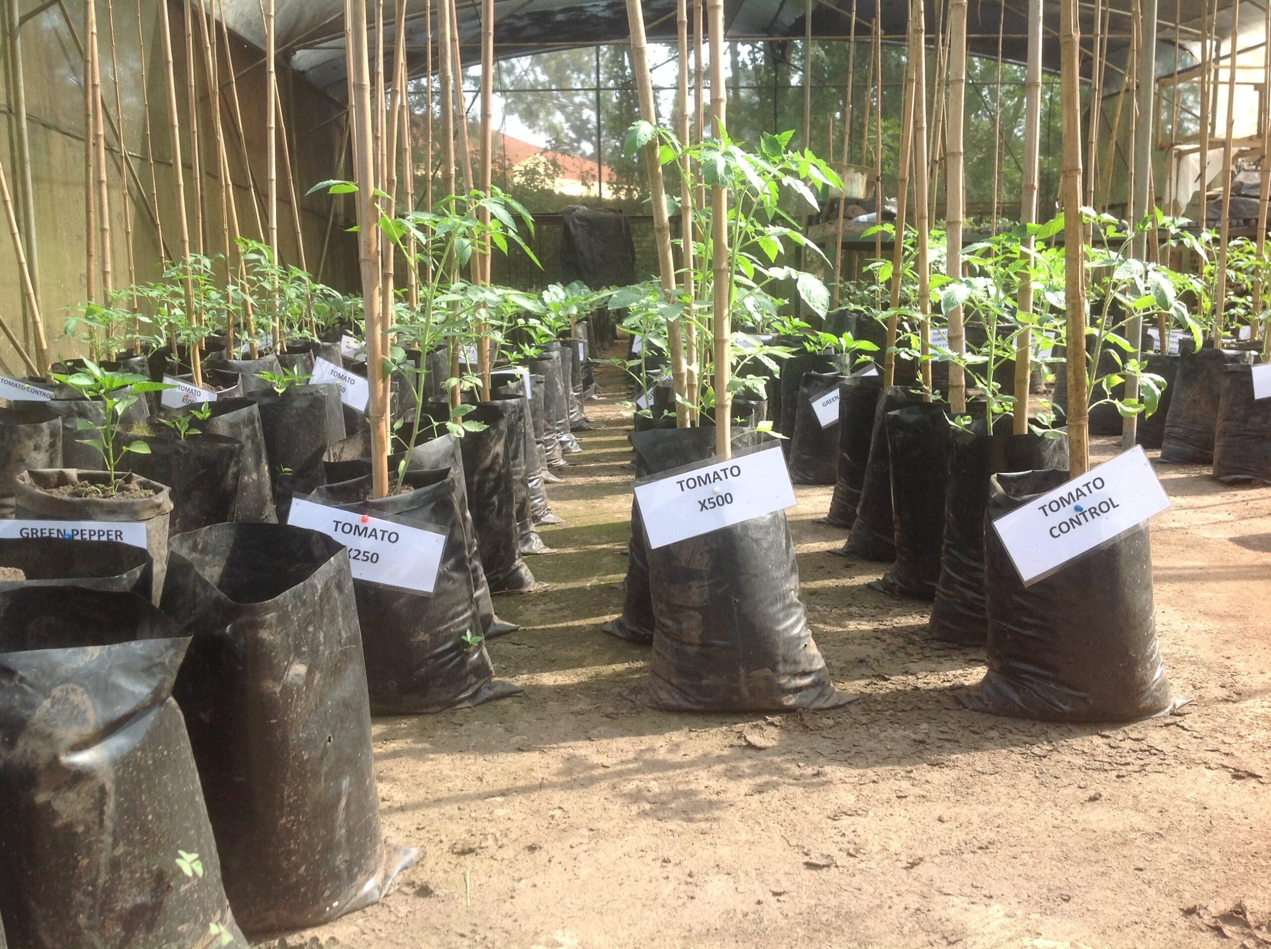 Report on successful trials conducted with the Uganda National ...